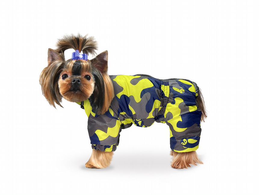 Дождевики для разных пород собак