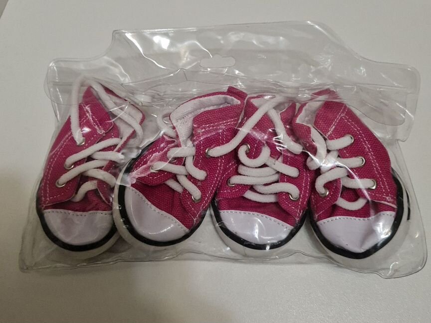 Кеды для собаки/кошки