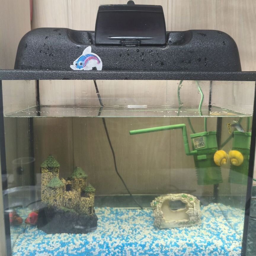 Аквариум с рыбками