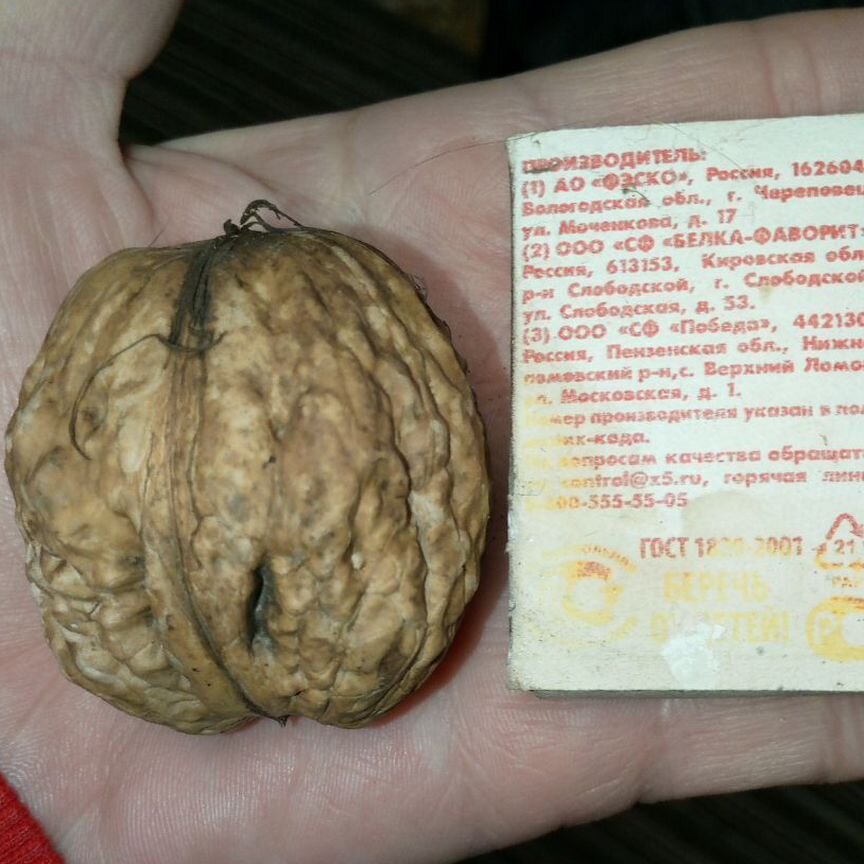 Грецкий орех