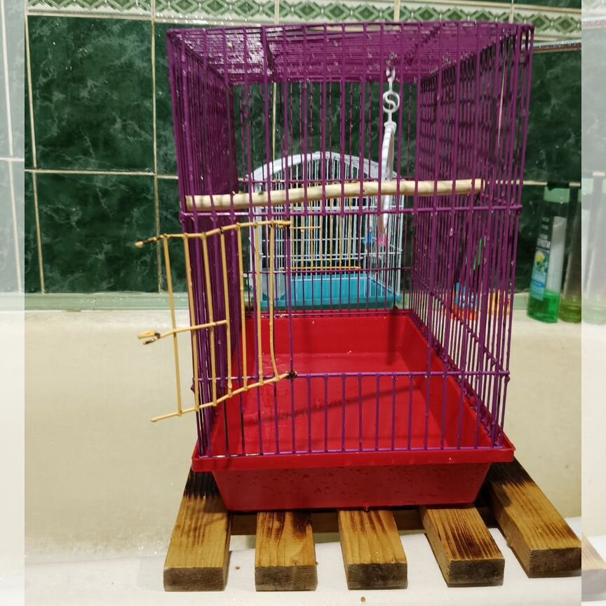 Клетка для птиц б/у