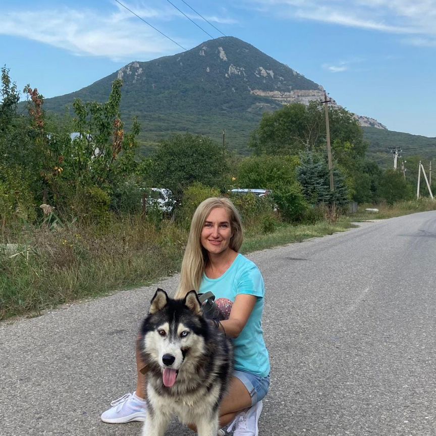 Маламут Грей в дар