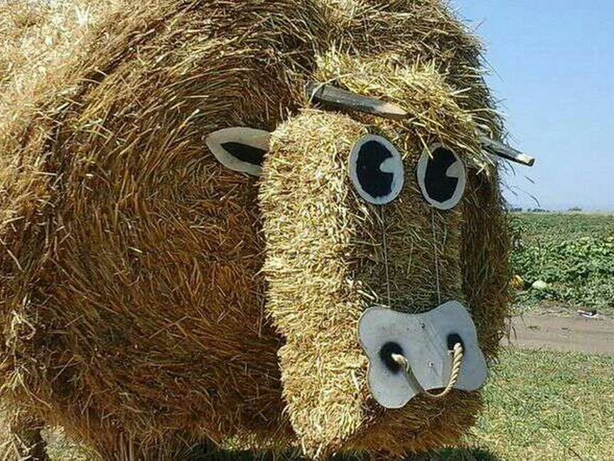 Сено в мешках,кипах,рулонах в Перми.Зерно.Корма