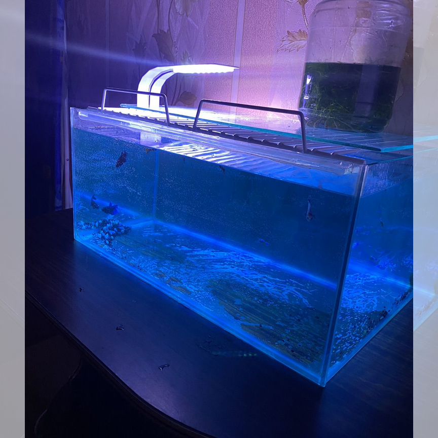 Аквариум с рыбками