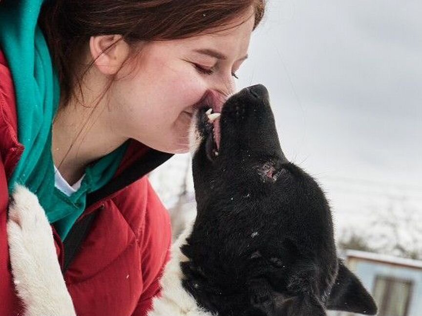 Ласковый пёс в самые добрые руки