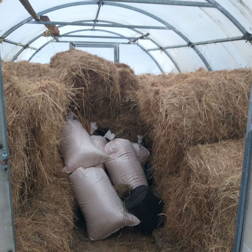 Сено в рулонах