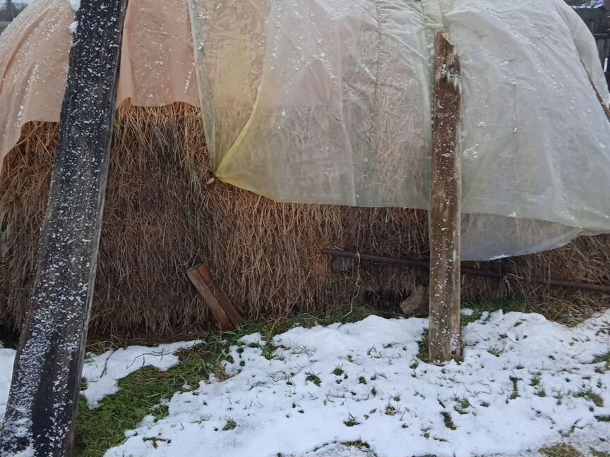 Сено злаковое-бобовое - люцерна,козлятник,костер