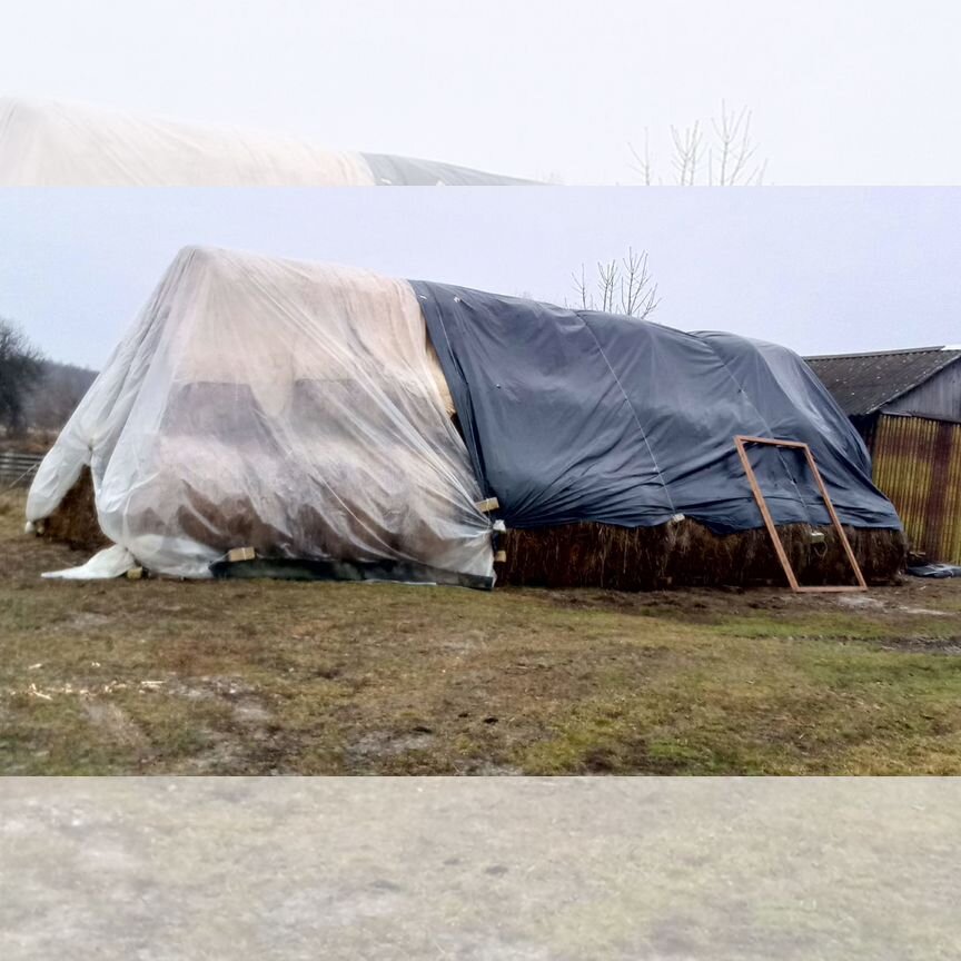 Продам сено в рулонах