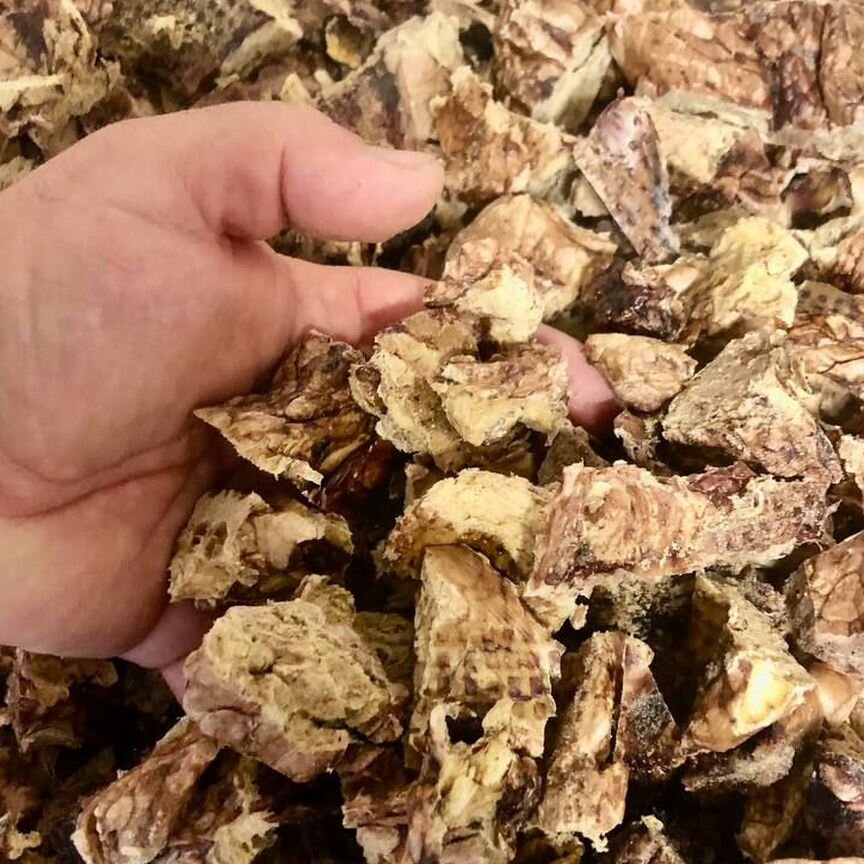 Вкусняшки для дрессировки, поощрения собак и кошек