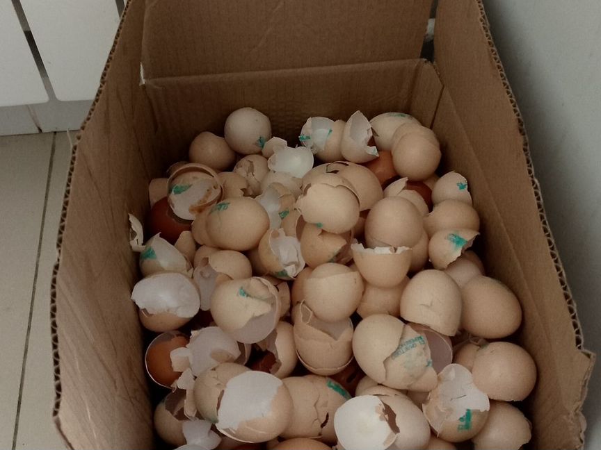 Пищевые отходы для животных Обнинск