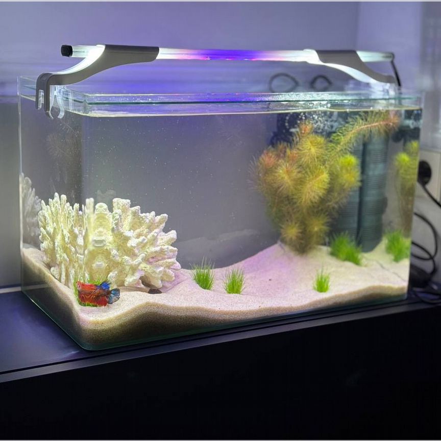 Аквариум 40 литров