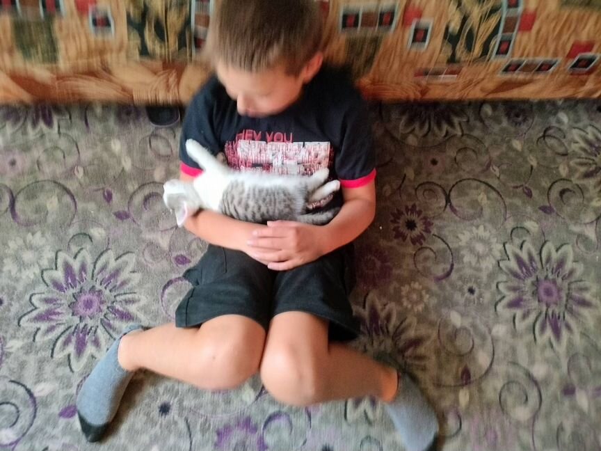 Котенок в добрые руки
