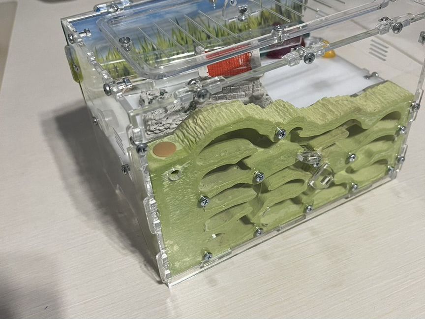 Муравьиная ферма