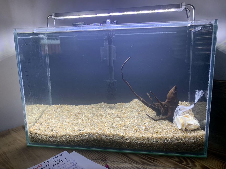 Аквариум и комплектующие