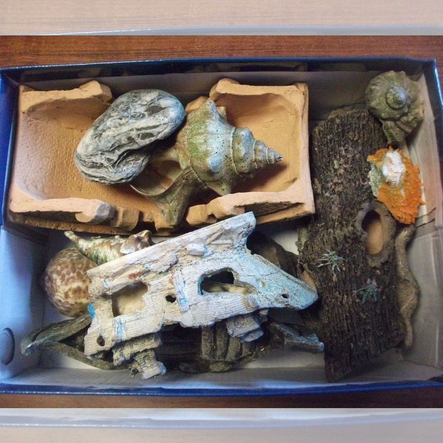 Гроты ракушки кораблики