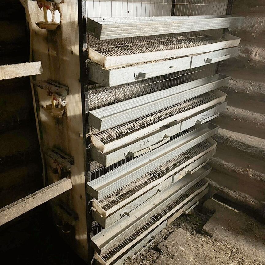 Клетки для перепелов бу