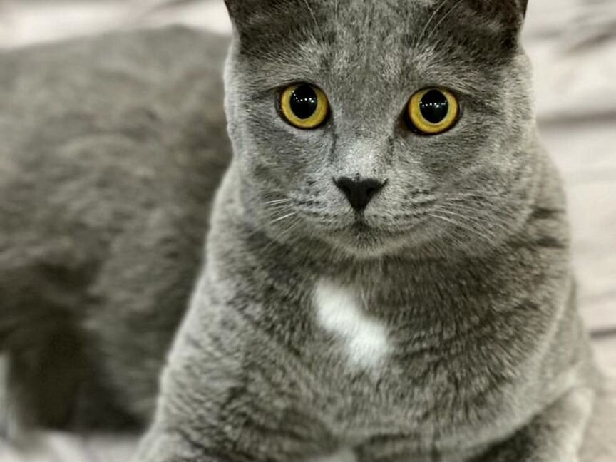 1,5 года девочка из приюта