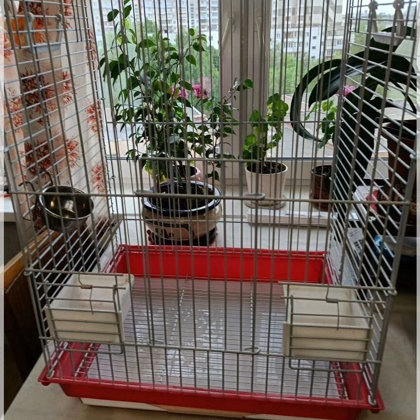 Клетка для попугаев, корелл, неразлучников Б/У