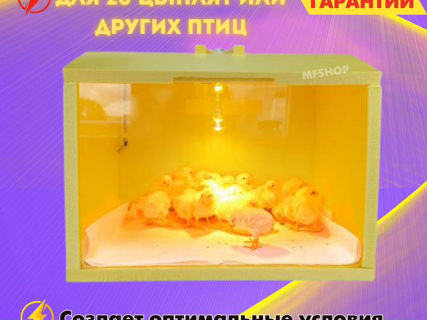Брудер для цыплят с терморегулятором sititek HD 50