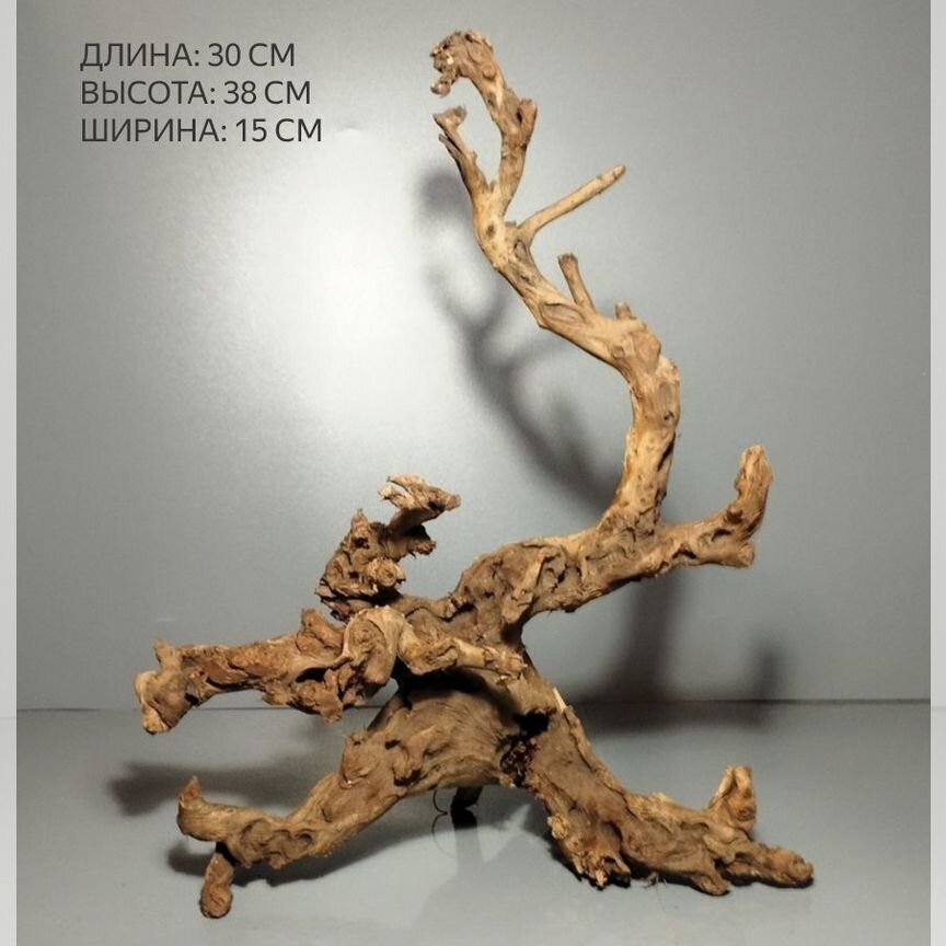 Коряга Bell Wood мангровая коряга 30*15*38 вк506