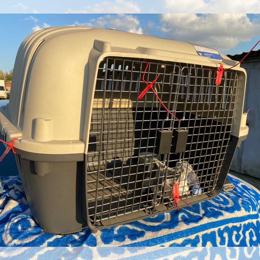 Переноска для собак. Подходит для авиаперевозок