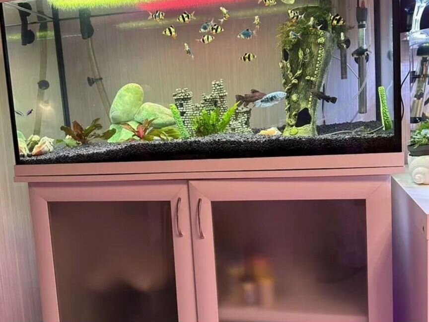 Аквариум + крышка+ тумба+ аксессуары