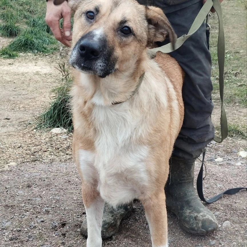 Шон очень ждёт свою любящую семью