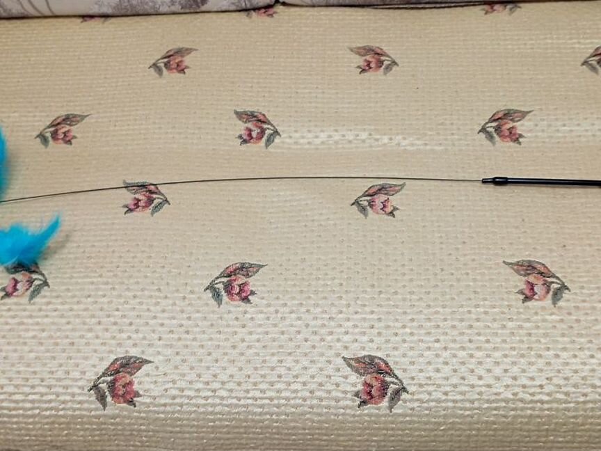 Игрушки для кошек попугайчик