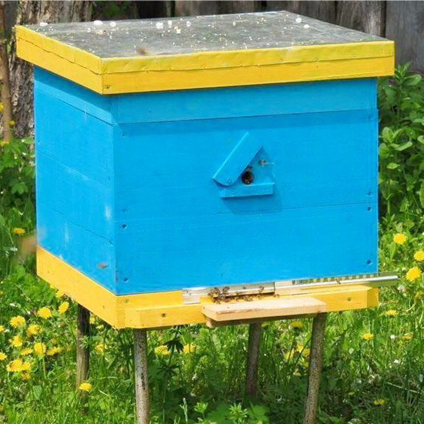 Продам ульи для пчел