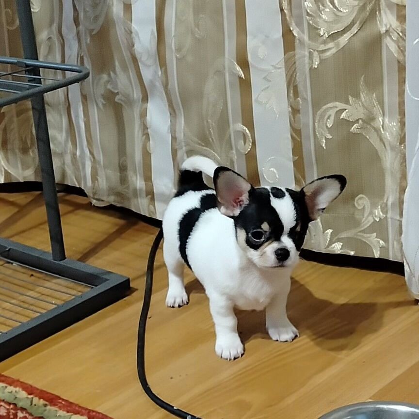 Для вас и ваших любимых