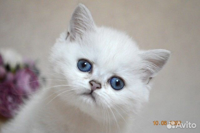 Мальчишки -очаровашки