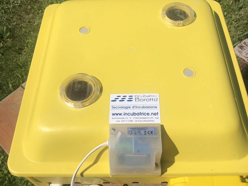 Инкубатор Borotto на 56 яиц
