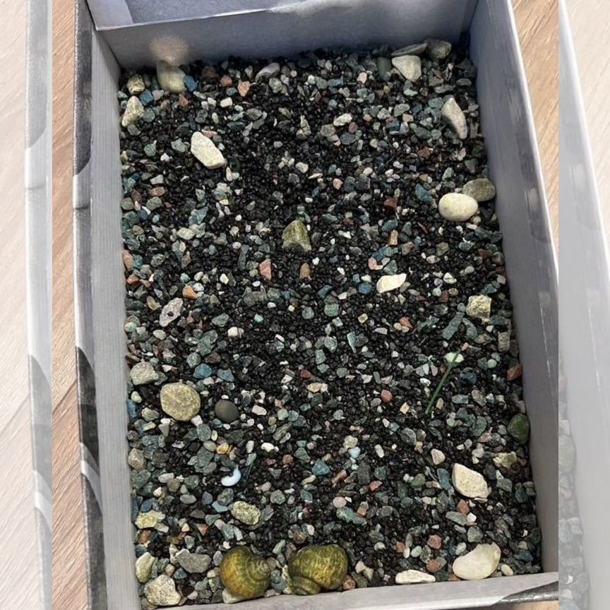 Грунт для аквариума