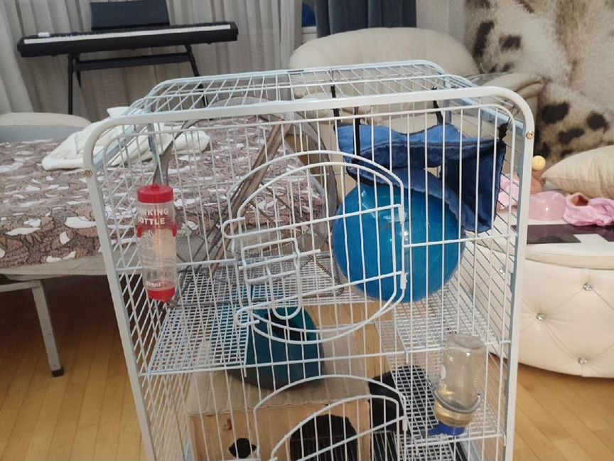 Клетка вольер