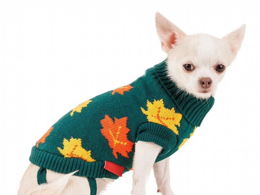 Одежда для собак/кошек свитер XS