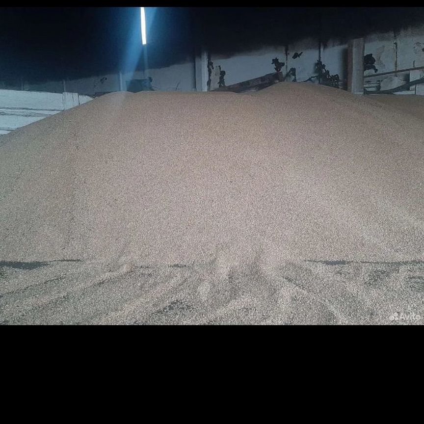 Ячмень овёс