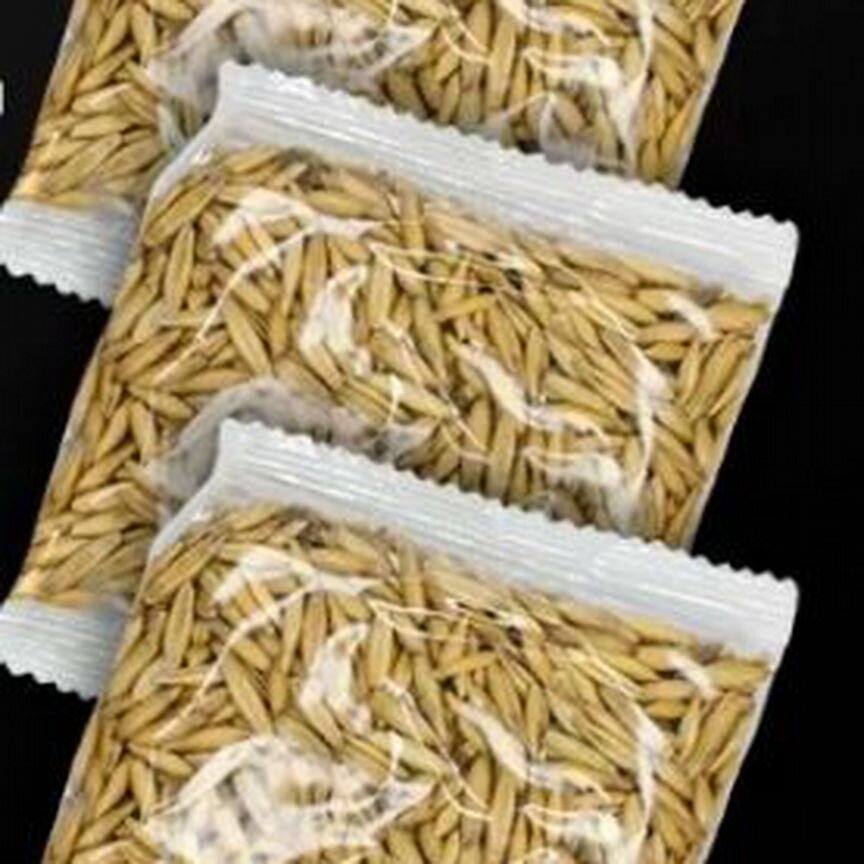 Трава для кошек