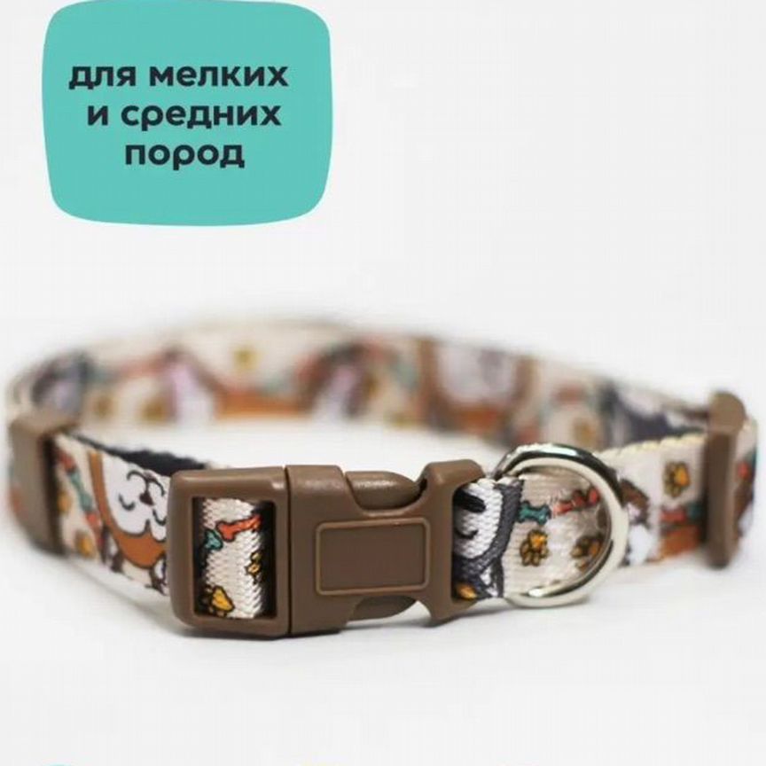 Ошейник