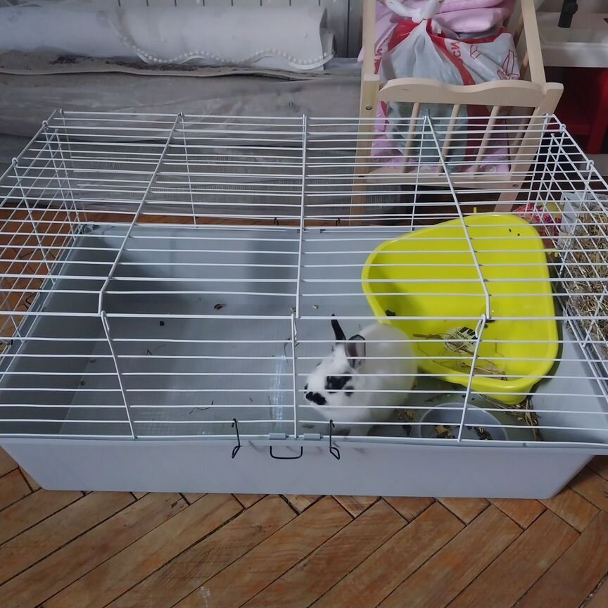 Клетка для грызунов+ лоток