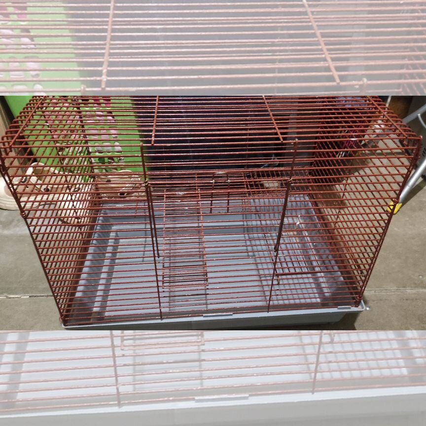 Клетка для грызунов большая
