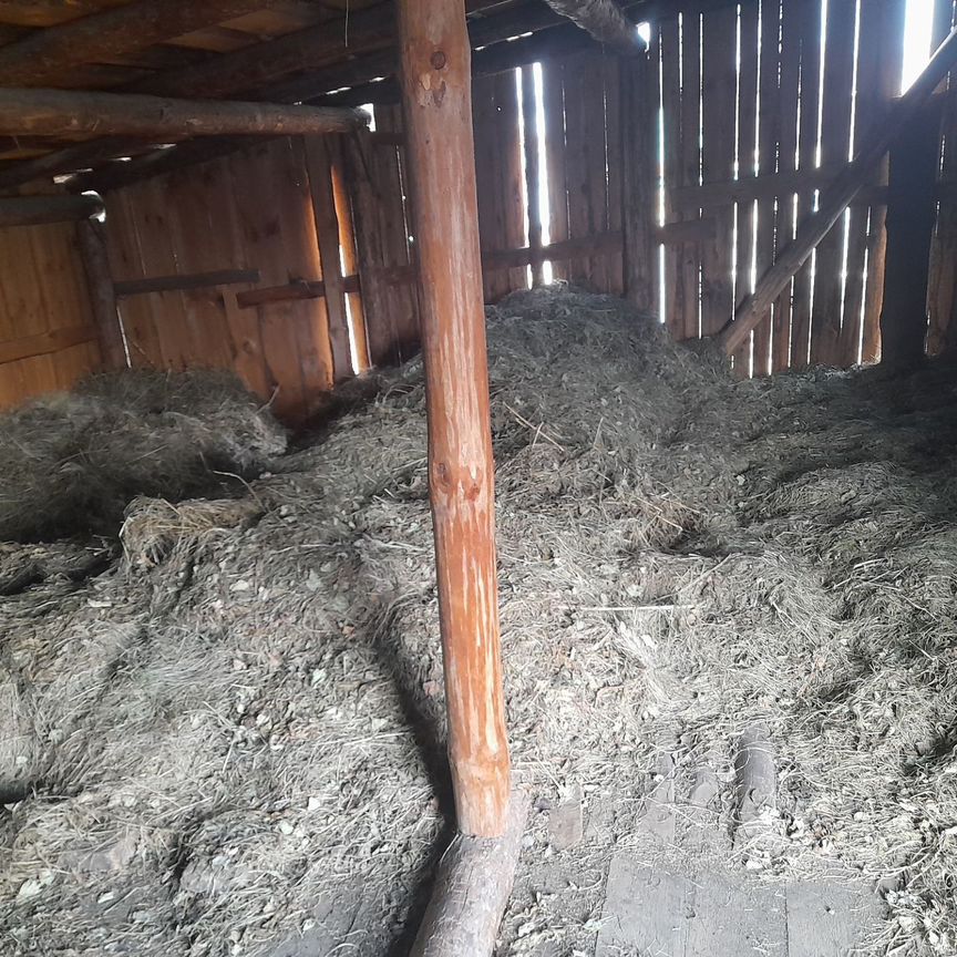 Продам сено (лесное)