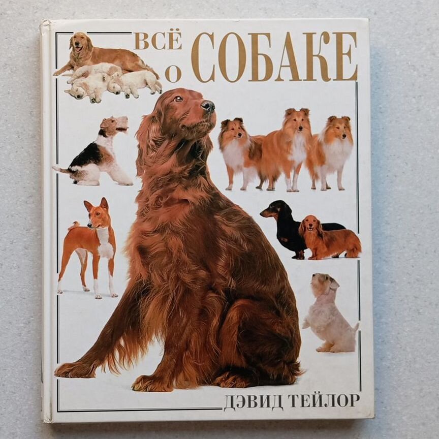 Всё о собаке. 2001 (д.тейлор)