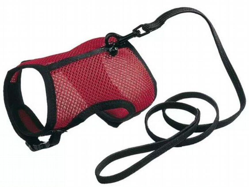 Шлейка с поводком для хорька