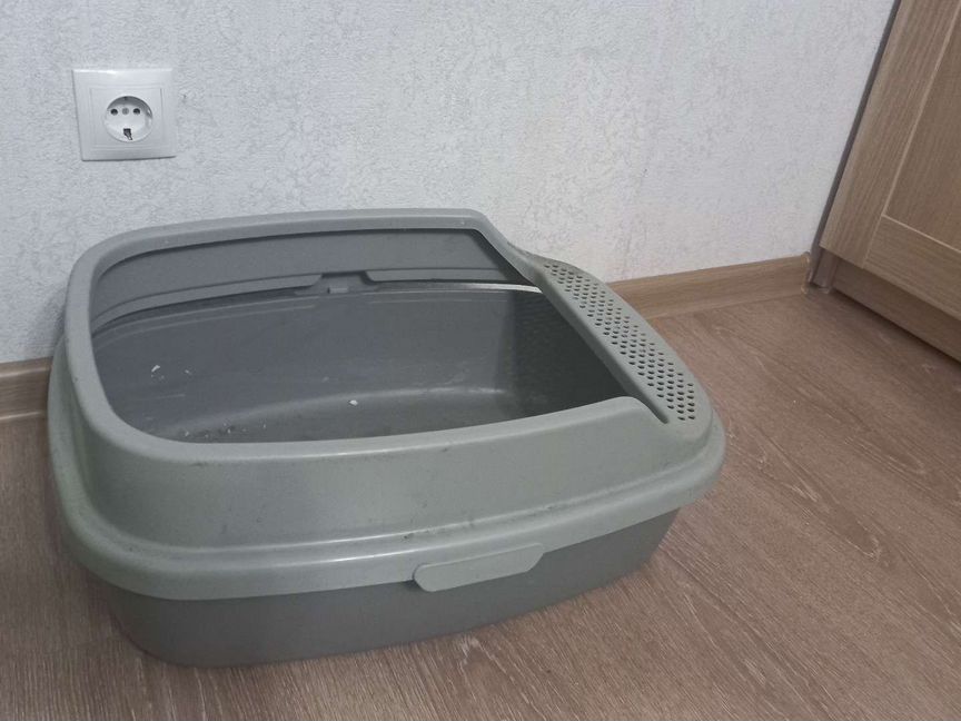 Лоток