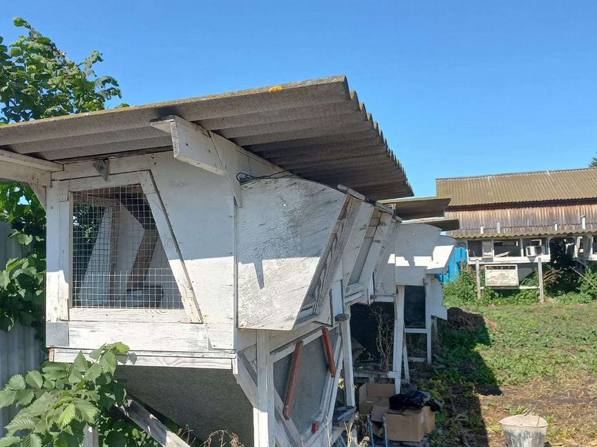 Клетка для кролика