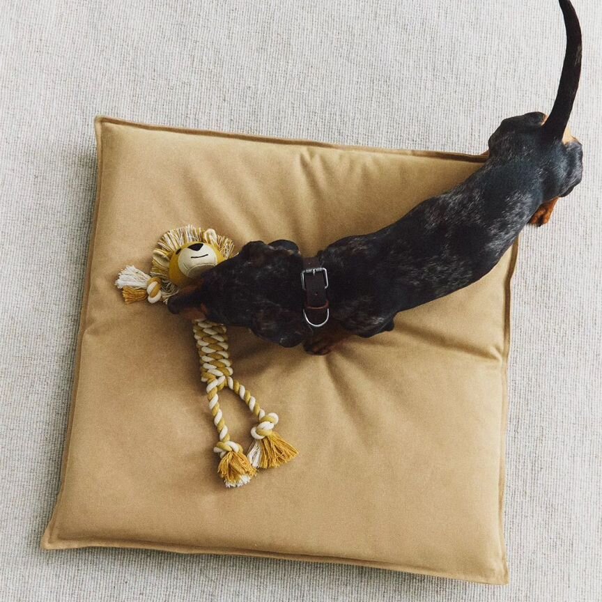 Лежанка для собак Zara home