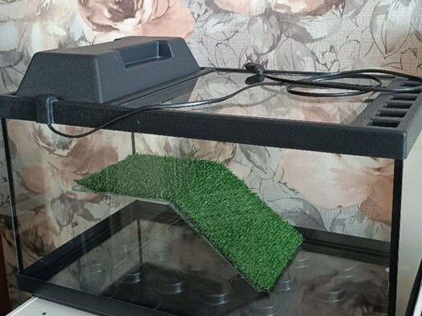 Аквариум для черепах