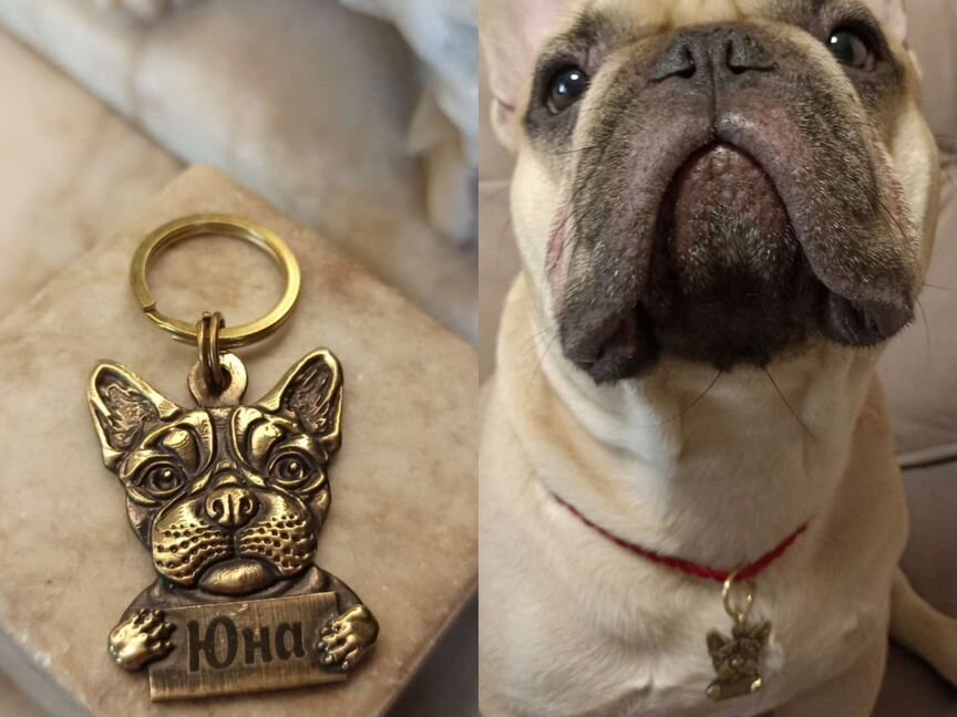 Адресники для собак