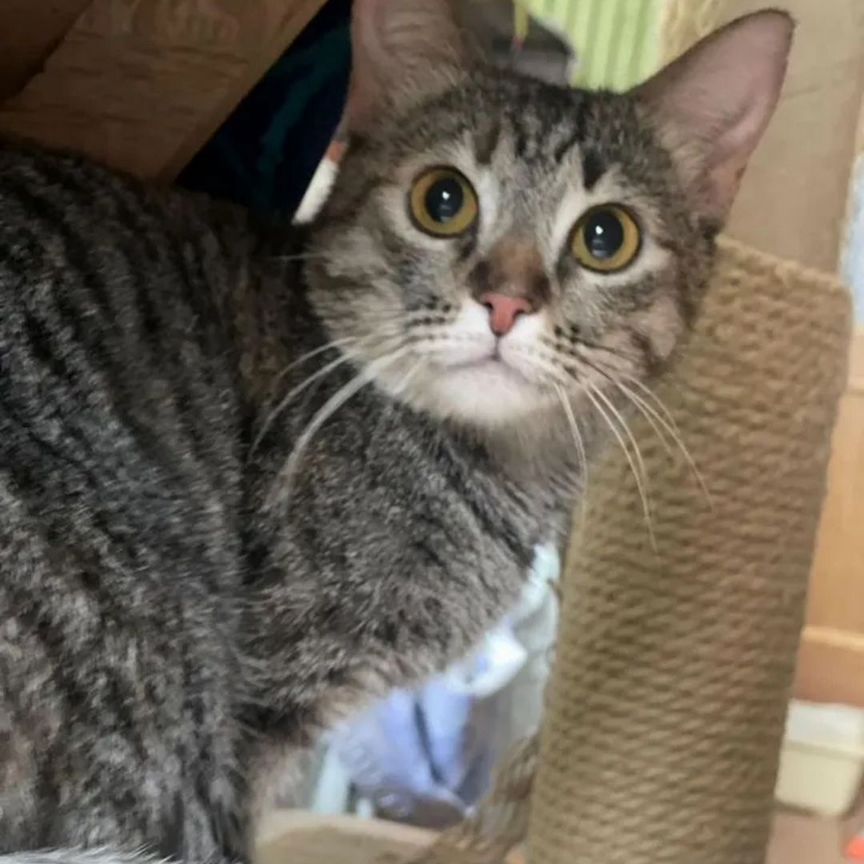 Девочка в приюте ей около 1 года