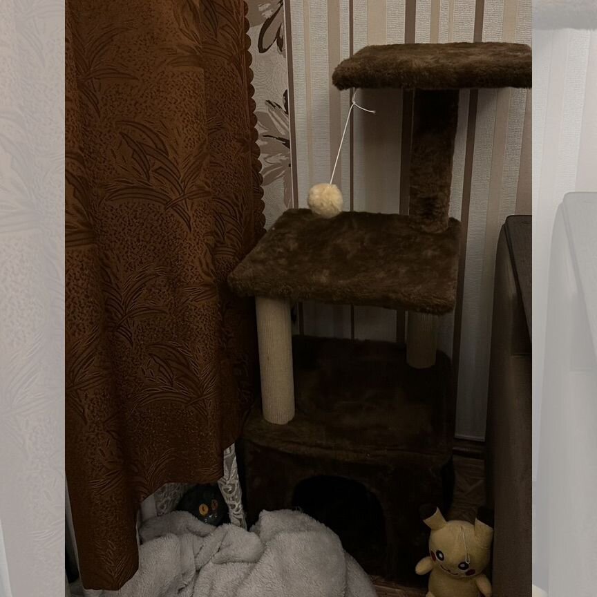 Когтеточка для кошек с лежанкой и домиком